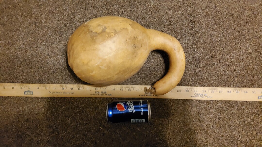 Dried Dipper Gourd - Etsy