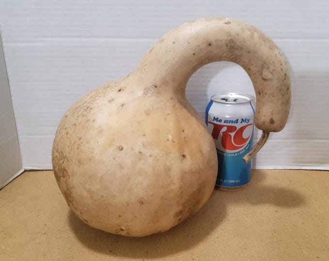 Dried Dipper Gourd - Etsy