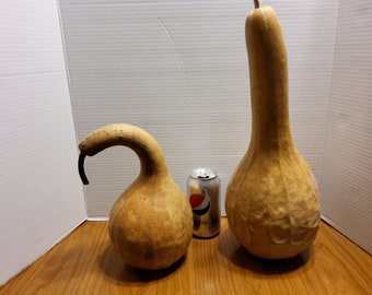 Dipper Gourds - Etsy