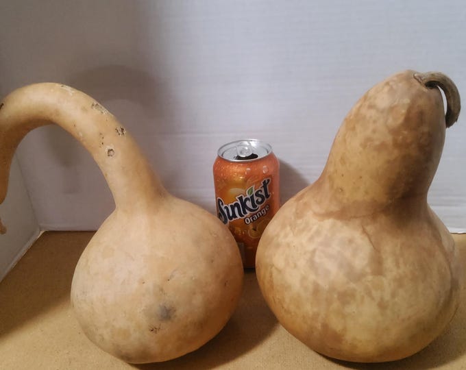 Dried Dipper Gourd and Dried Martin Gourd - Etsy