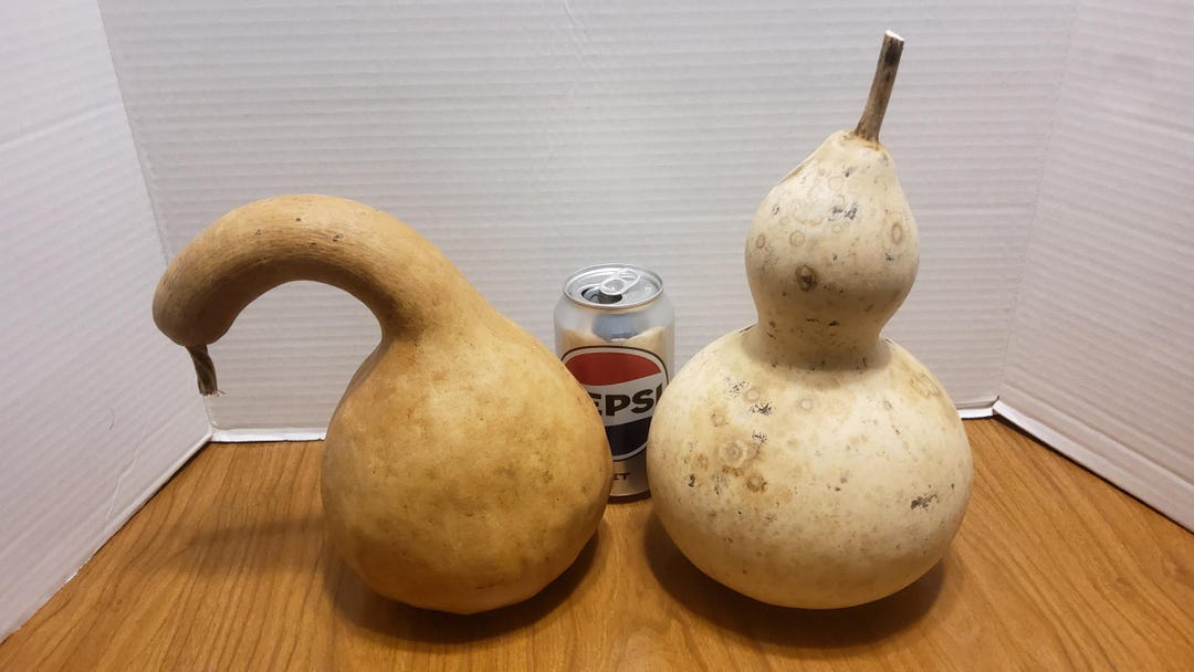 Dried Dipper Gourd and Dried Bottle Gourd - Etsy