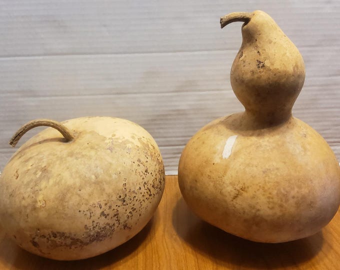 Dried Canteen Gourd and Dried Bottle Gourd as Is - Etsy