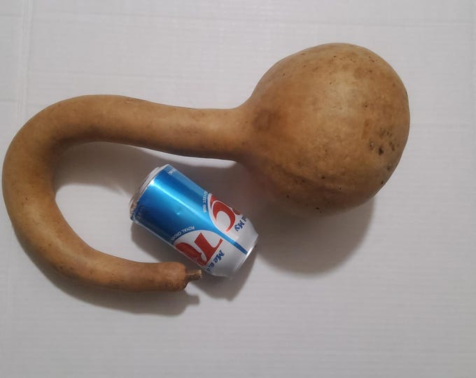 Dried Long Handle Dipper Gourd - Etsy