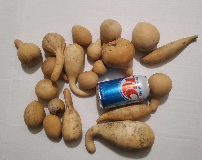 20 Assorted Dried Mini Gourds - Etsy