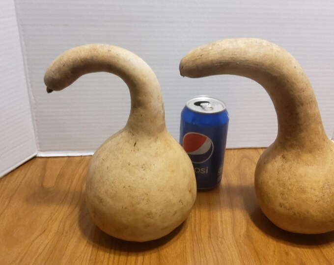 2 Dried Dipper Gourds - Etsy