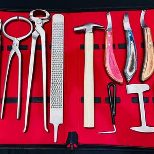 Complete Horse Hoof Care Kit: Professional Grooming & Farrier Tools - Etsy