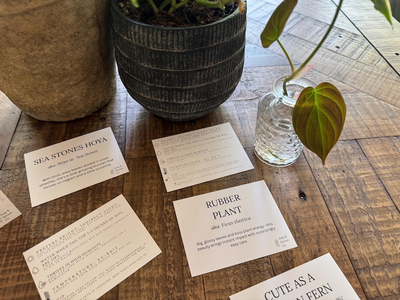 Golden Pothos Plant Care Guide: Printable Indoor Plant Card (digital ...