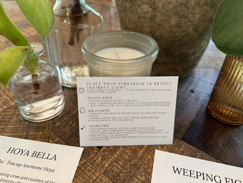 Golden Pothos Plant Care Guide: Printable Indoor Plant Card (digital ...