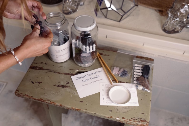 Witchy Mini Terrarium Kit: DIY Skull & Crystal Decor - Etsy