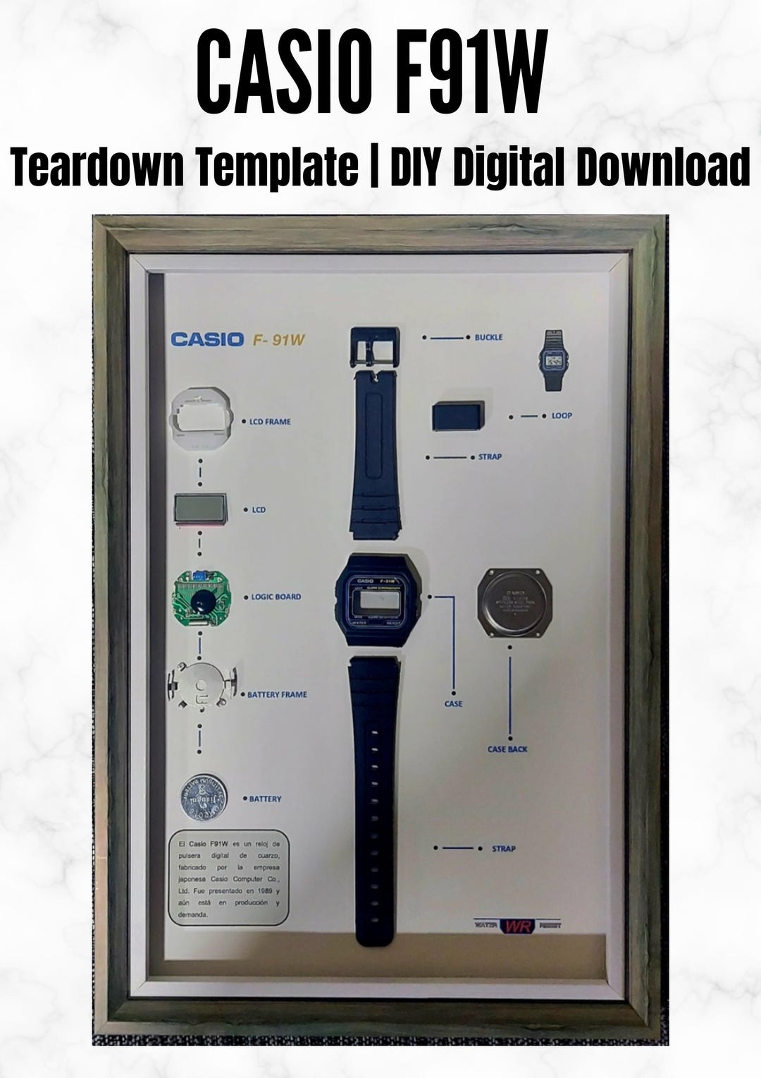 Casio F91w Teardown Template, Casio Watch, Casio F91, Custom Casio ...