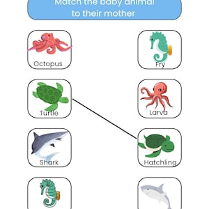 Match the Baby Animal, Sea Animal Series. Printable Worksheet for Kids ...