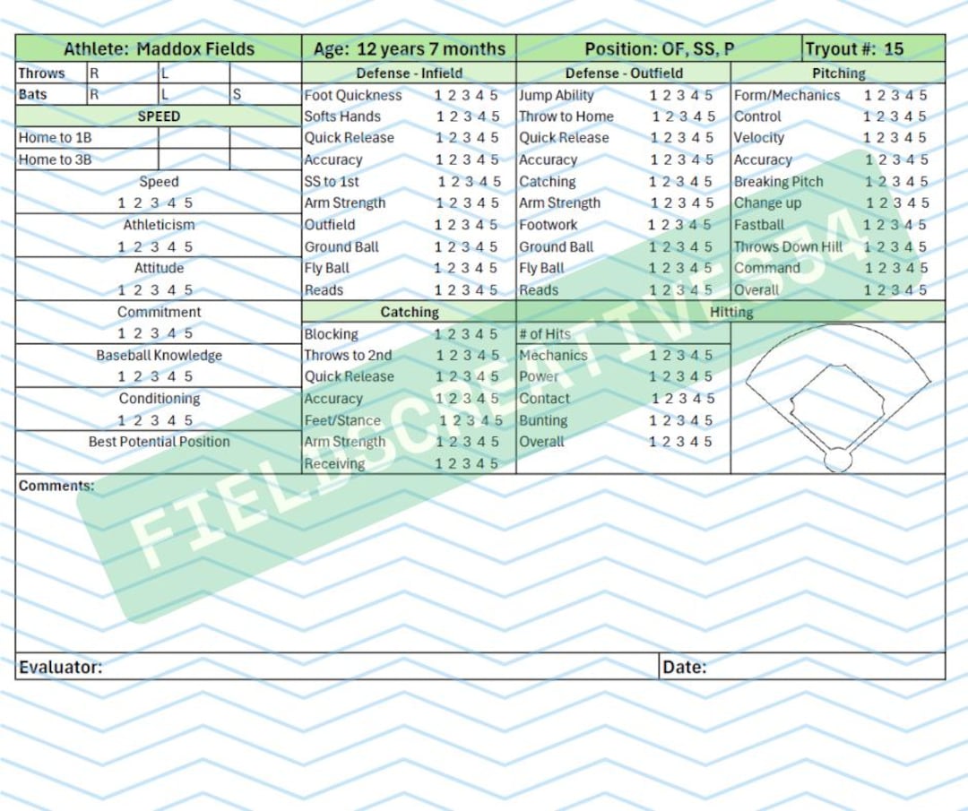 Baseball Tryout Evaluation Form Template - Etsy