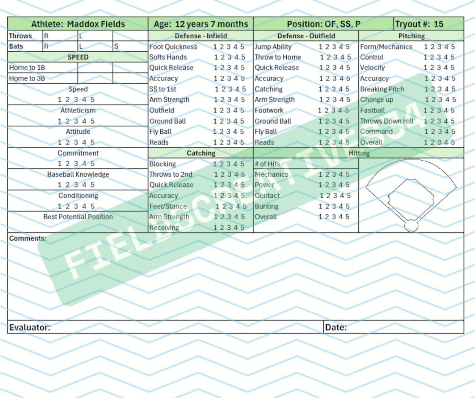 Baseball Tryout Evaluation Form Template - Etsy