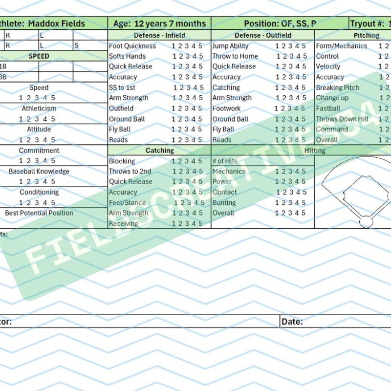 Baseball Tryout Form - Etsy