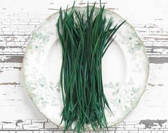 Blue White Feather Boa Robe - Etsy