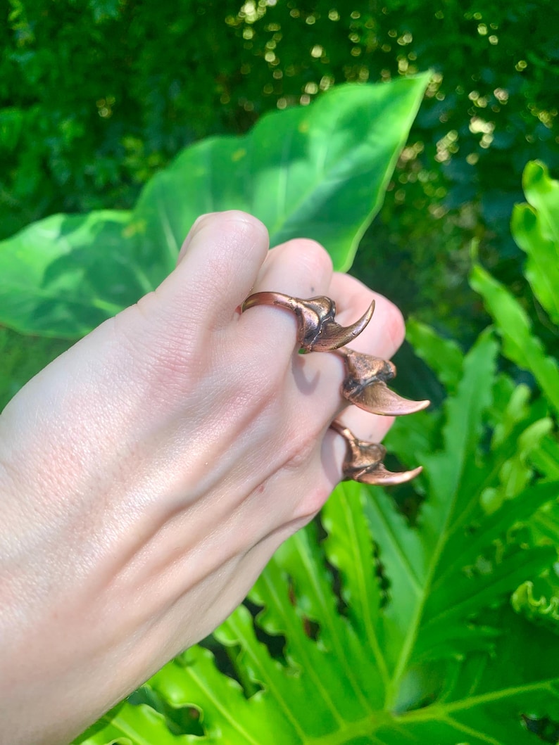 Electroformed Copper Bobcat Claw Ring – Wildlife Oddity Jewelry - Etsy