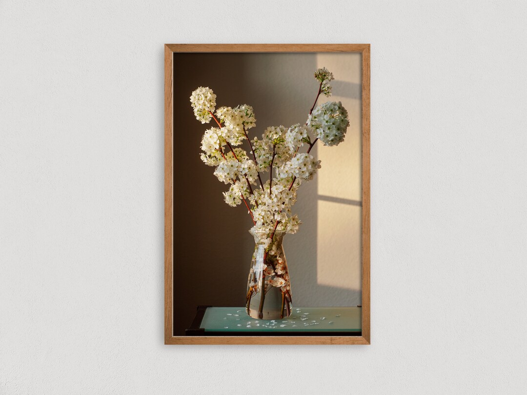Flower Photography Prints, Still Life Wall Art, Blossom Art, Floral ...