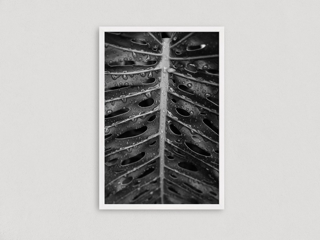 Monstera Art Print, Tropical Plant Wall Art, Black and White Monstera ...