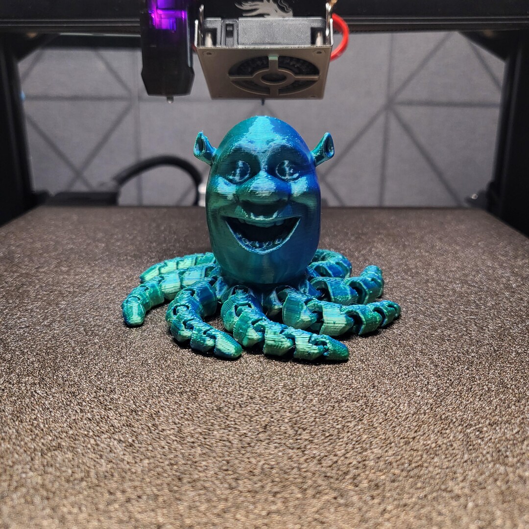 Shrektopus | Rocktopus | 3d-printed Sensory Fidget | Articulated Fidget ...