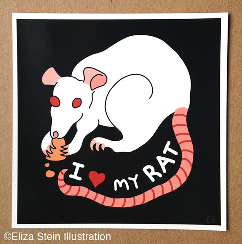 I Love My Rat Art Print Square 10x10 Cute White Albino Rat - Etsy