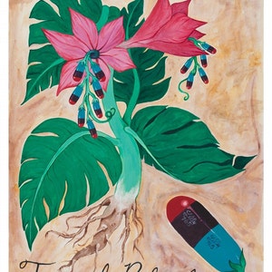 Tuinal Capsules 8x10 Art Print, Surreal, Weird, Botanical, Pill ...