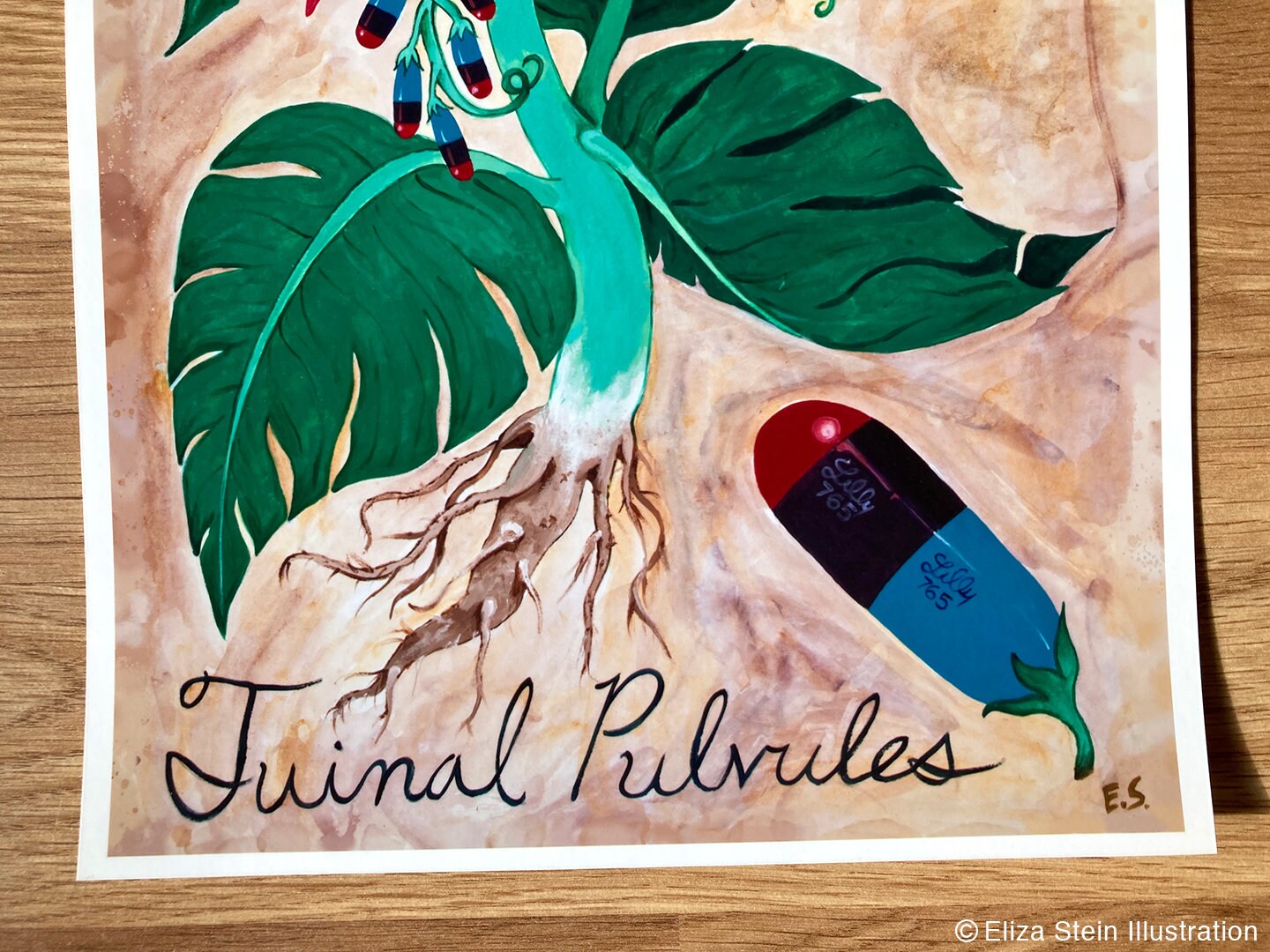 Tuinal Capsules 8x10 Art Print, Surreal, Botanical, Pill, Tropical ...