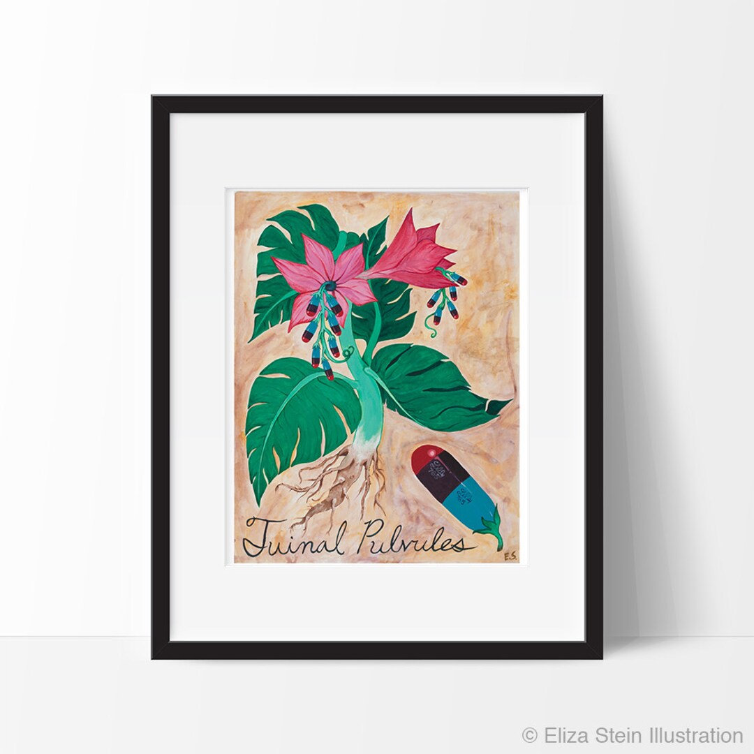 Tuinal Capsules 8x10 Art Print, Surreal, Weird, Botanical, Pill ...