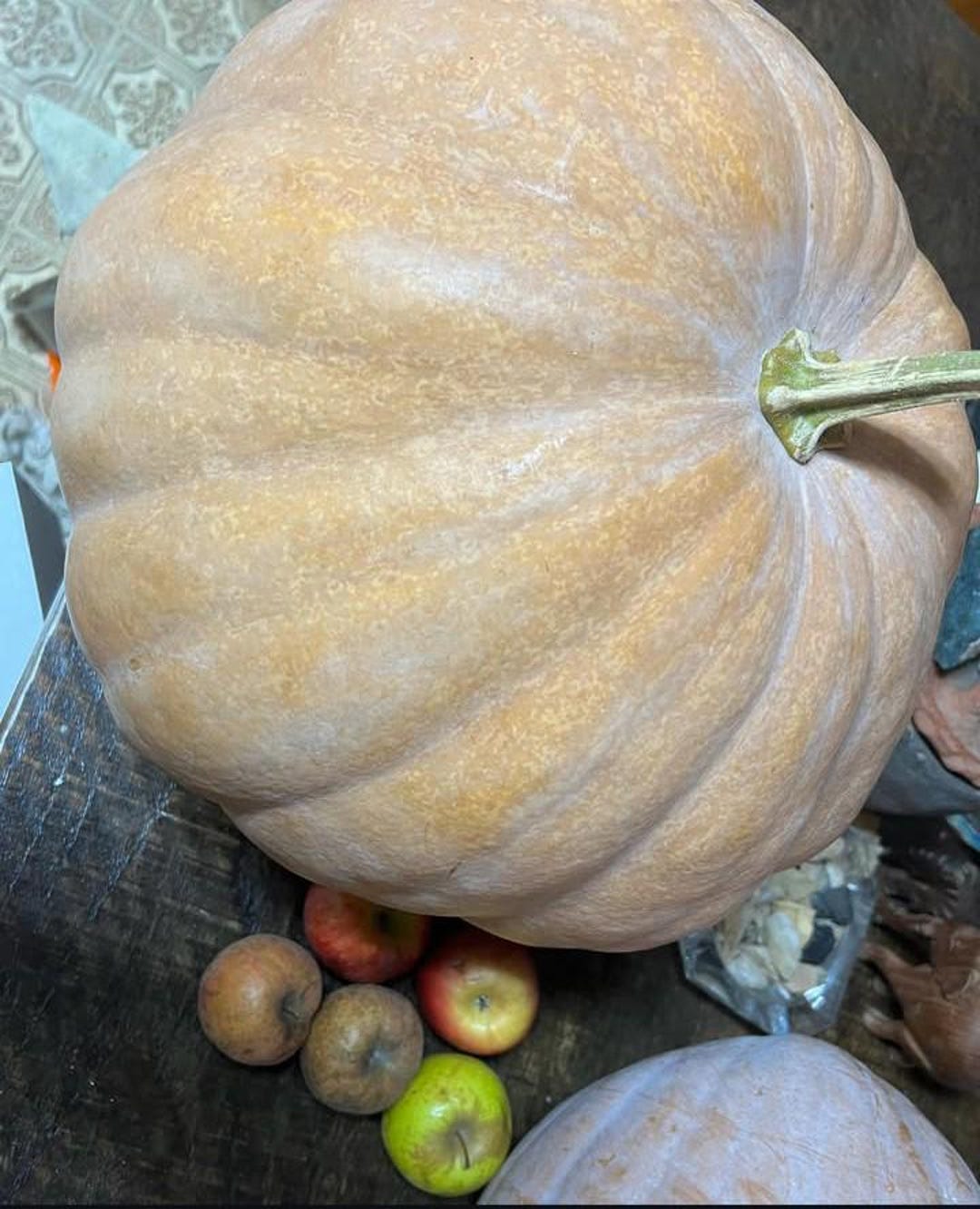 Southern Appalachian Old Timer Cooking Pumpkin - Etsy