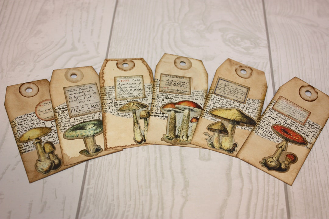 Set of 6 Small Mushroom Nature Fungi Tags Handmade Distressed Junk ...