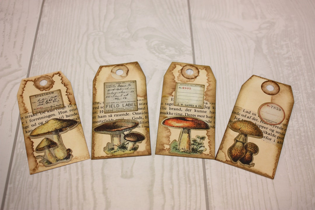 Set of 4 Small Mushroom Nature Fungi Tags Handmade Distressed - Etsy