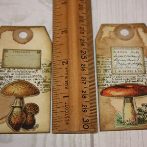 Set of 4 Small Mushroom Nature Fungi Tags Handmade Distressed Junk ...