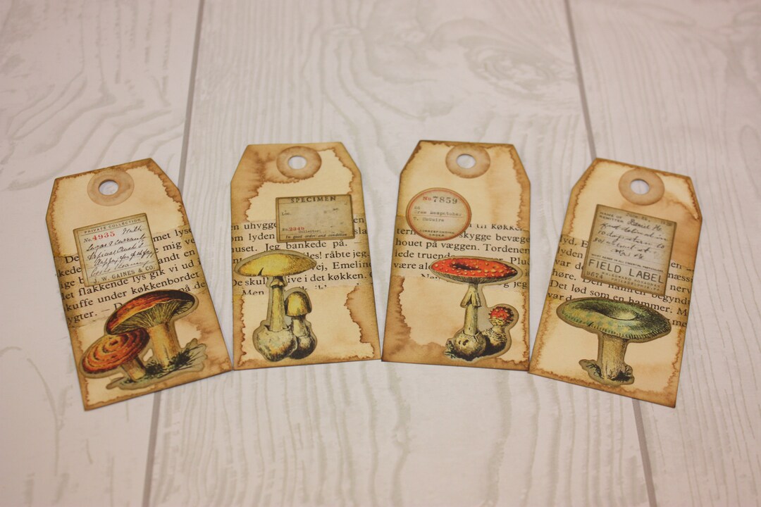 Set of 4 Small Mushroom Nature Fungi Tags Handmade Distressed - Etsy