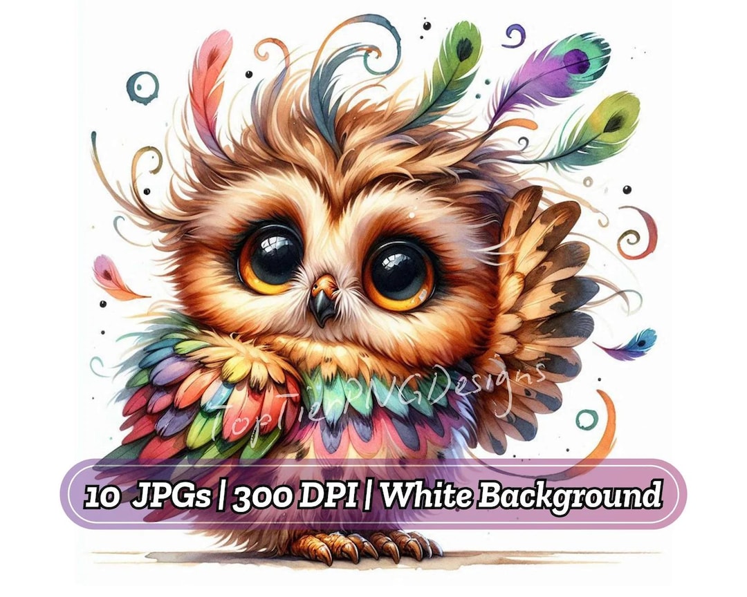 10 Quirky Owl Clipart, Cute Owl PNG Bundle, Funny Owl Illustration ...