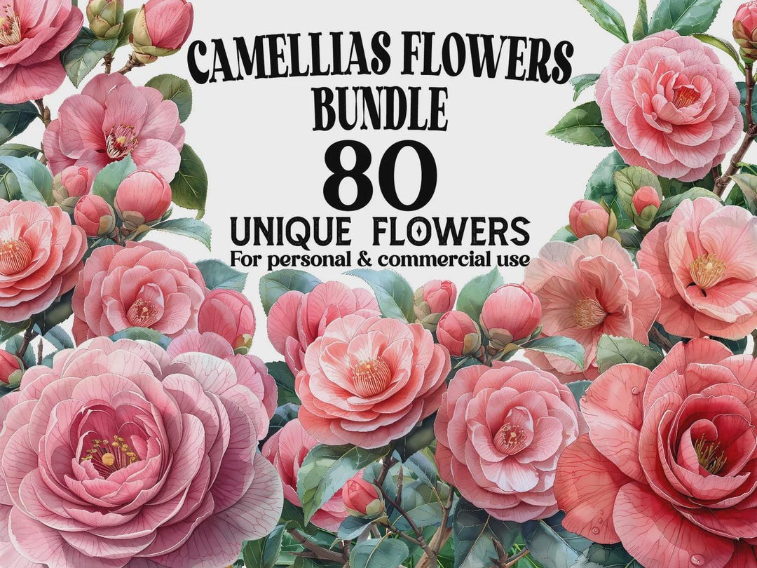 Watercolor Camellia Flower Clipart Bundle | Floral PNG (digital File ...