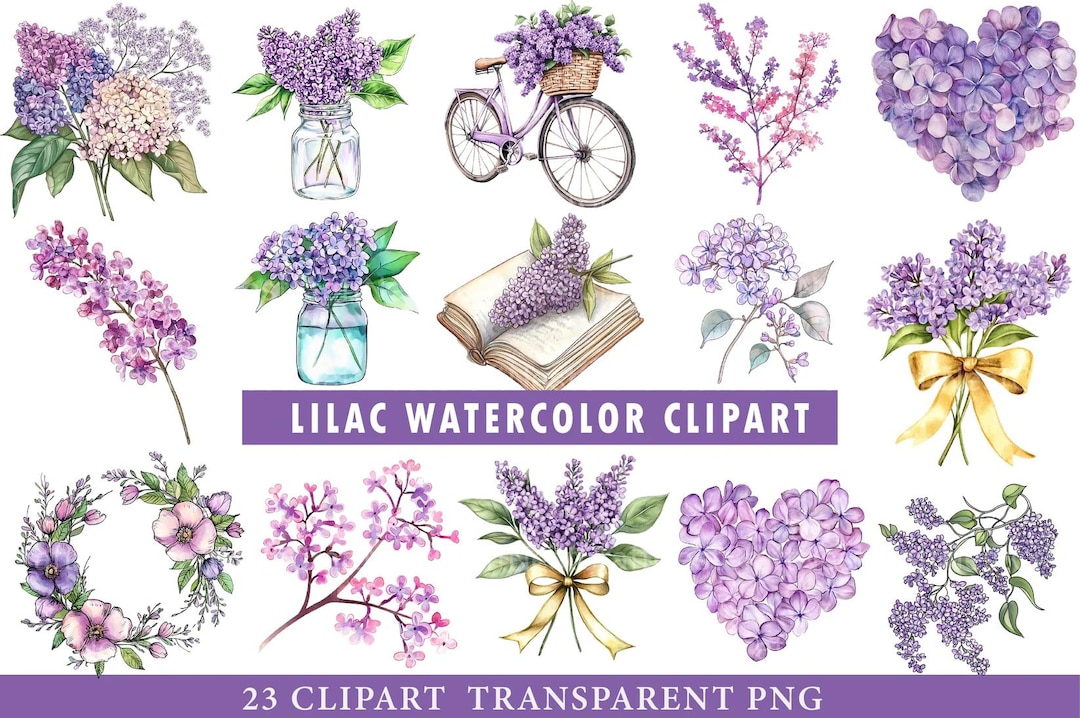Watercolor Lilac Clipart Bundle: Floral PNG Art (digital Download, 300 ...