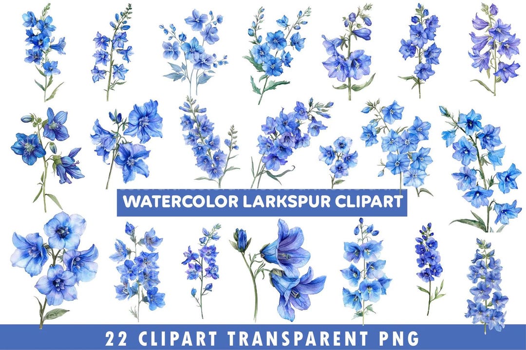 22 Watercolor Larkspur Flower Clipart Bundle PNG, Blue Floral Clipart ...