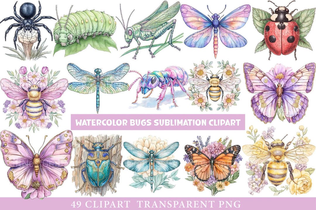 49 Watercolor Bugs Clipart, Insect PNG Bundle, Butterfly Beetle ...