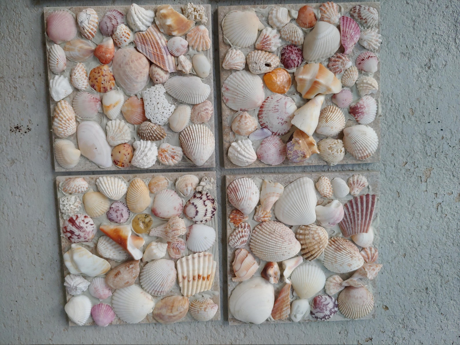 Coastal Decor Shell Tiles Fireplace Tiles Sea Shells | Etsy