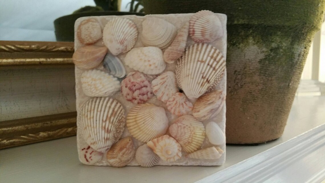 Coastal Decor Shell Tiles Fireplace Tiles Sea Shells - Etsy