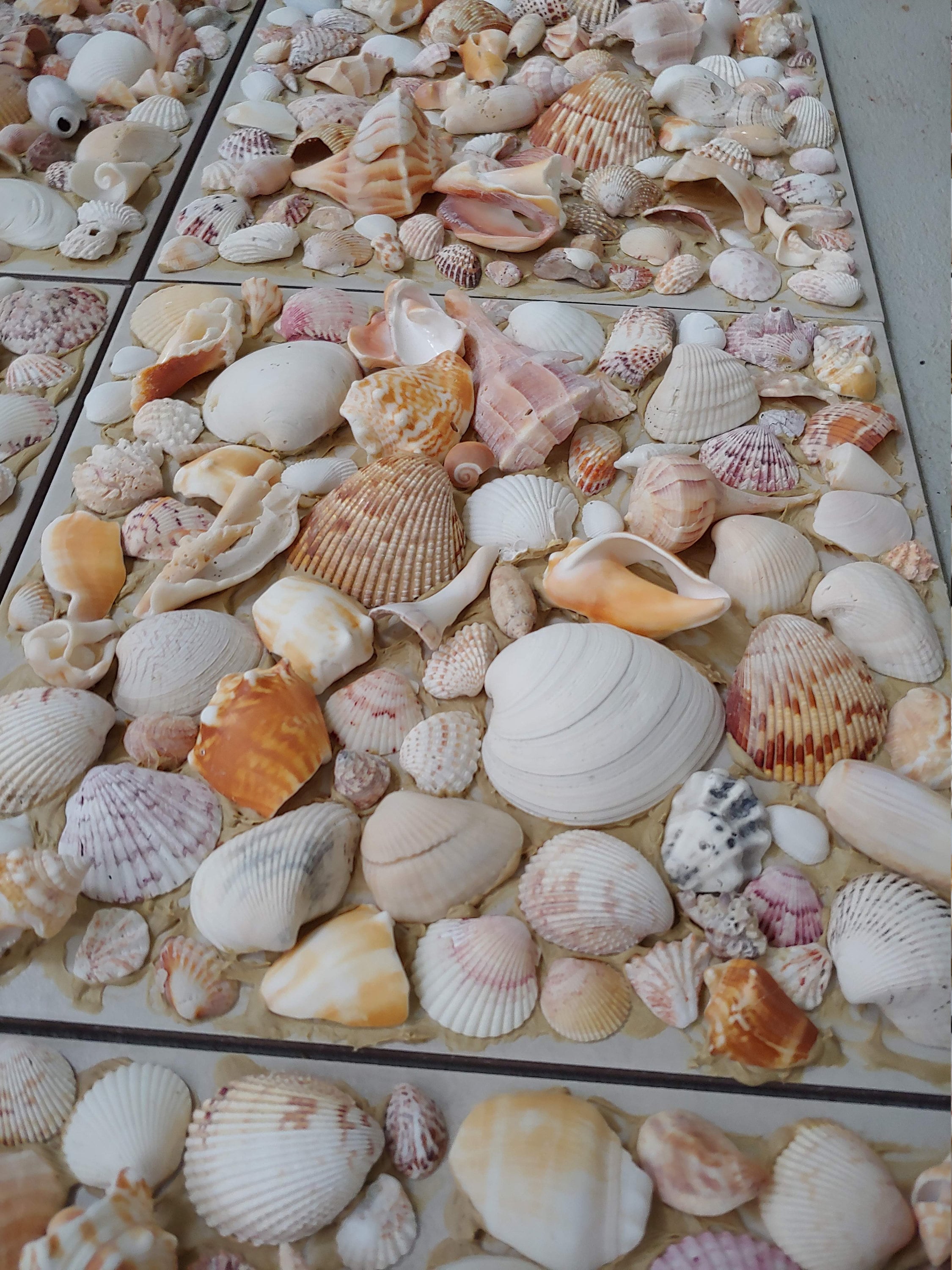 Coastal Decor Shell Tiles Fireplace Tiles Sea Shells - Etsy Nederland