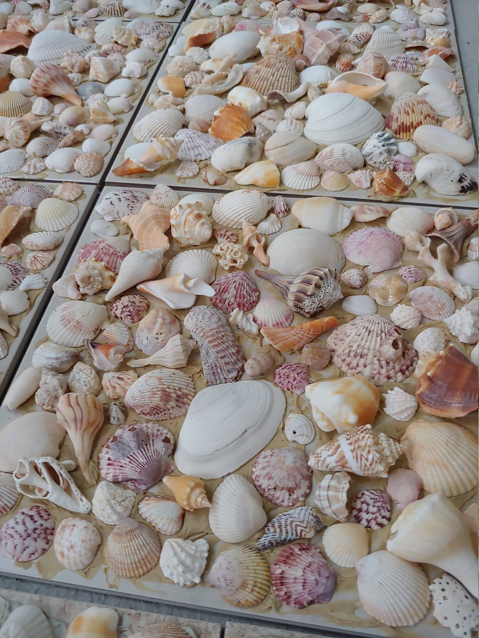 Coastal Decor Shell Tiles Fireplace Tiles Sea Shells | Etsy