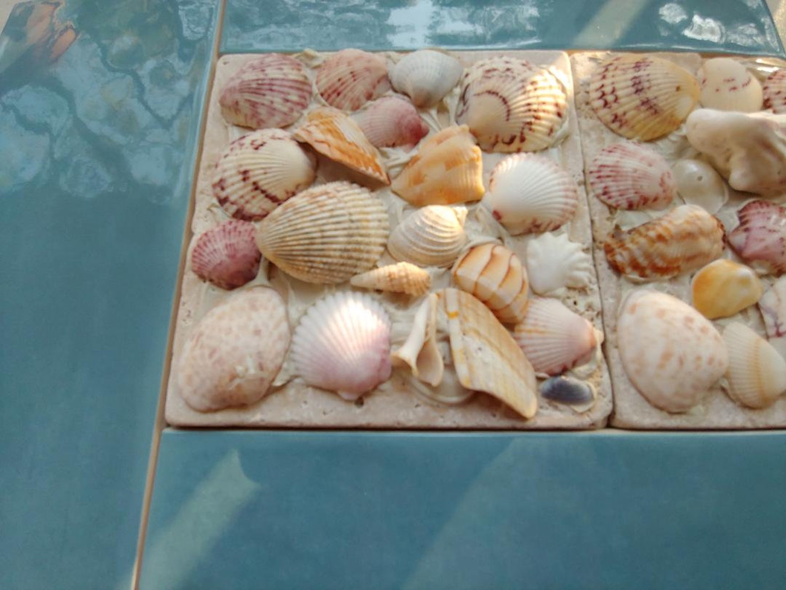 Coastal Decor Shell Tiles Fireplace Tiles Sea Shells | Etsy