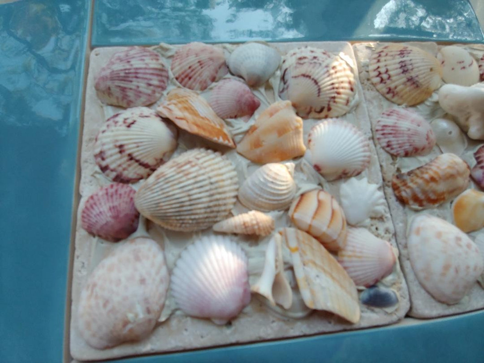 Coastal Decor Shell Tiles Fireplace Tiles Sea Shells | Etsy