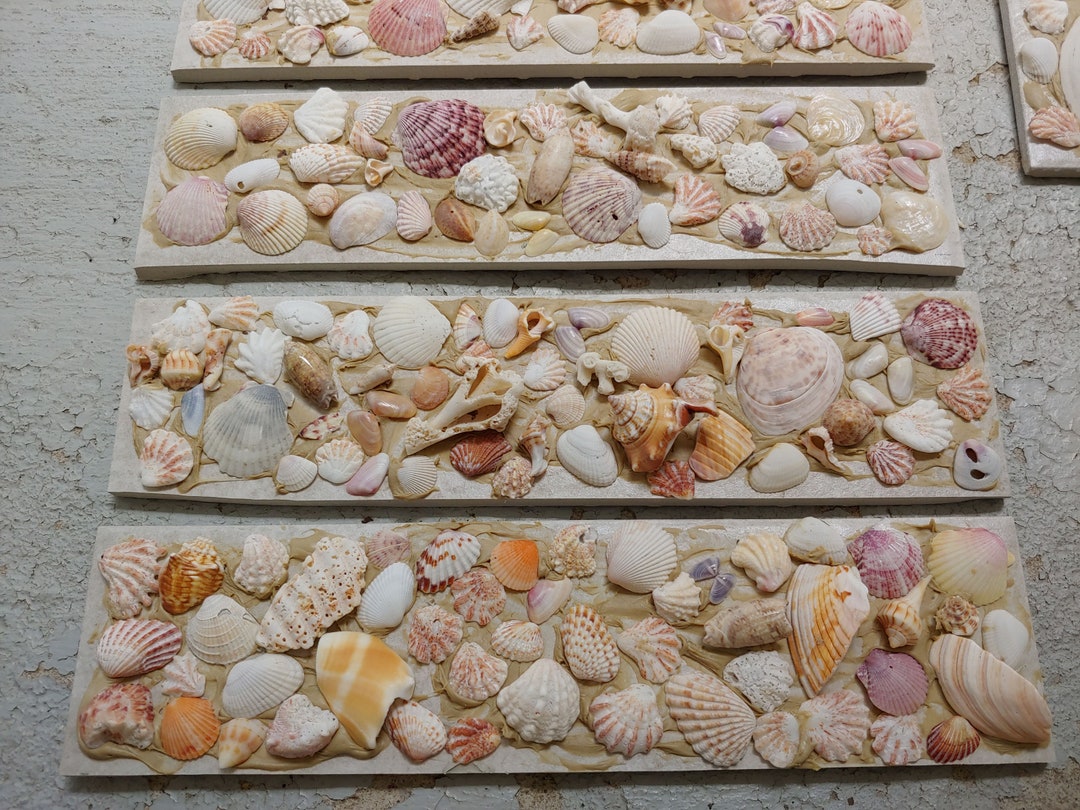 Seashell Mosaic Tile: Coastal Decor, Fireplace Accent (3" X 12 1/4") - Etsy