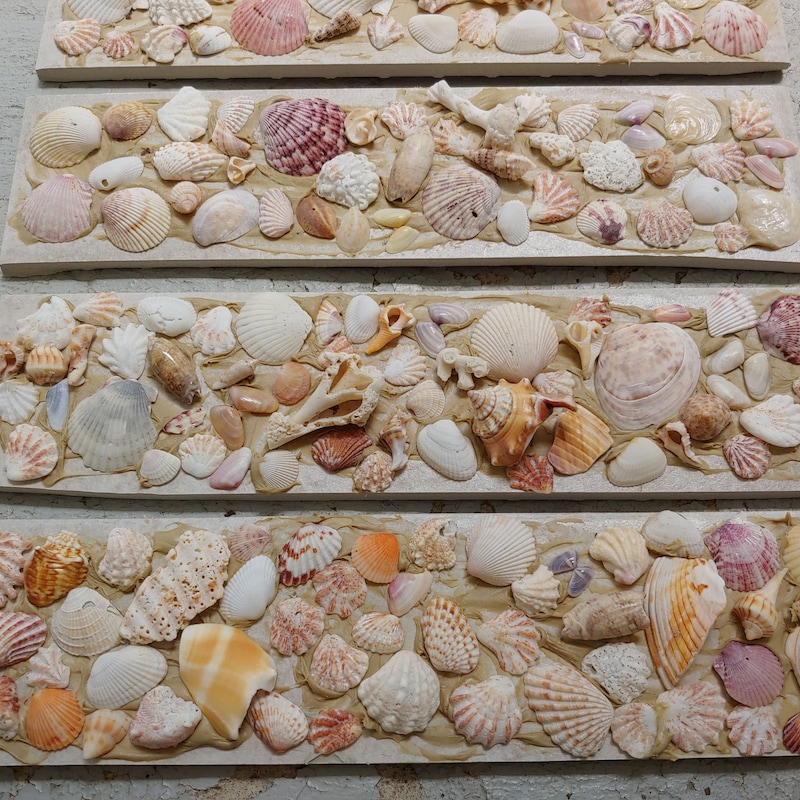 Sea Shell Tiles - Etsy