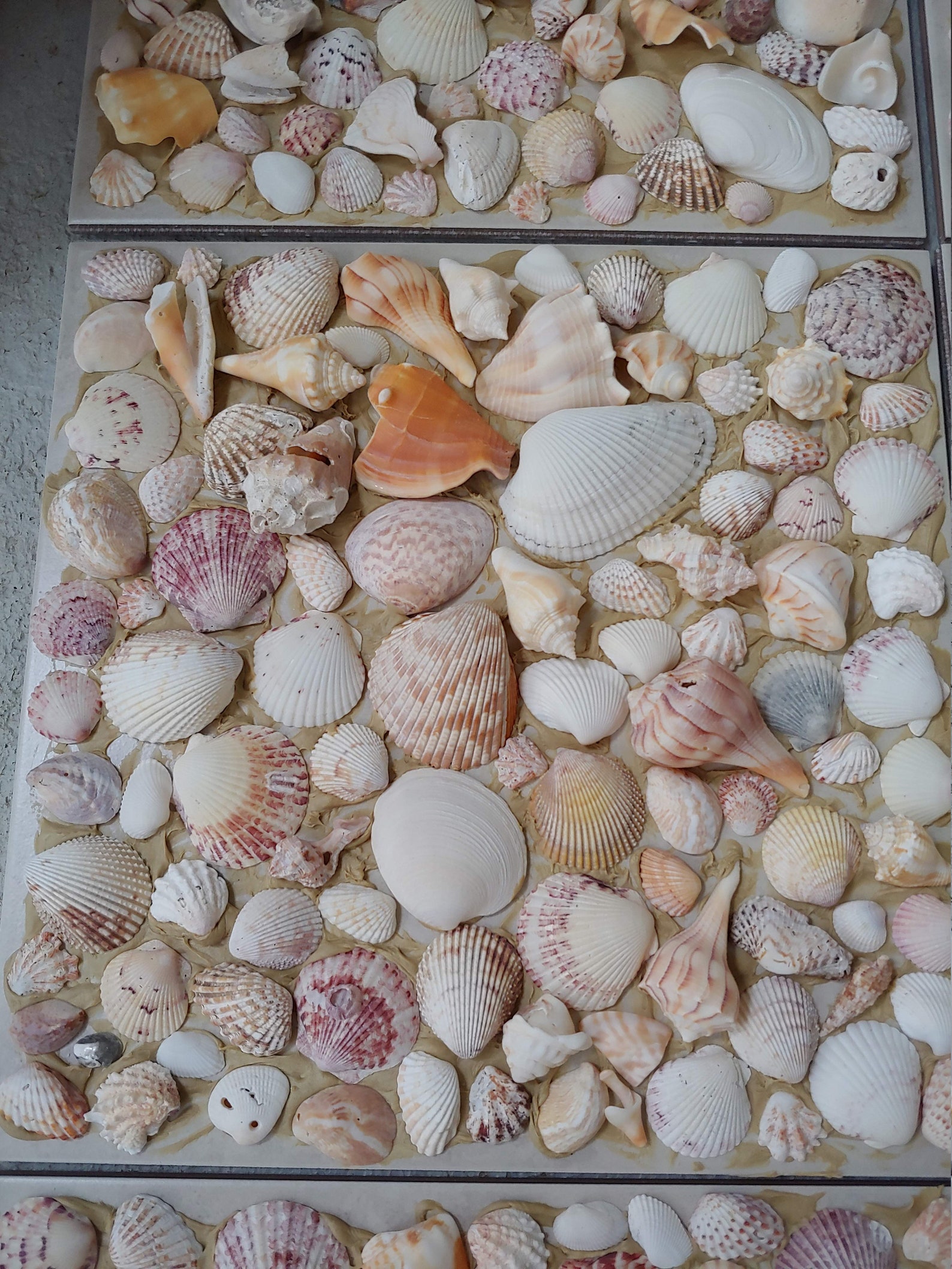 Coastal Decor Shell Tiles Fireplace Tiles Sea Shells | Etsy