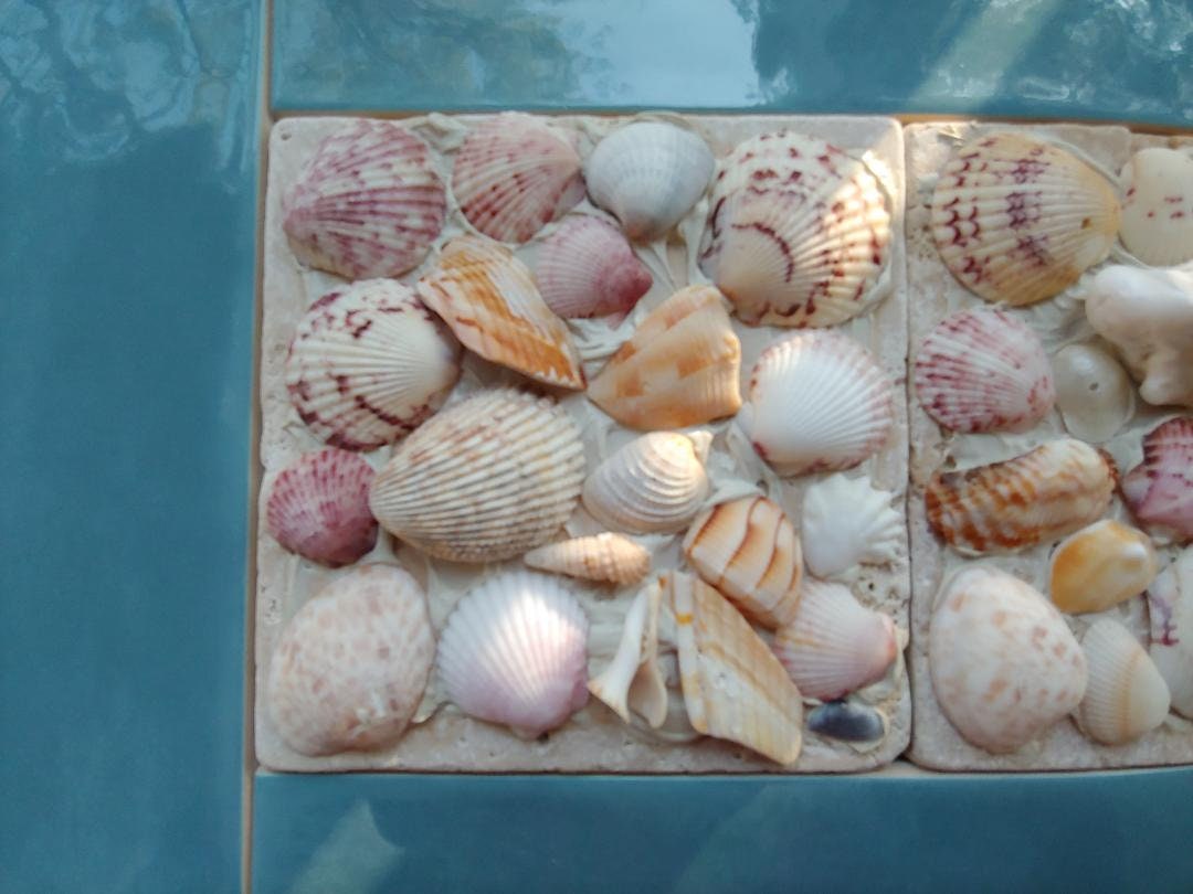 Coastal Decor, Shell Tiles, Fireplace Tiles, Sea Shells, Decorative ...