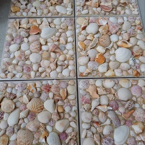 Coastal Decor, Shell Tiles, Fireplace Tiles, Sea Shells, Decorative ...