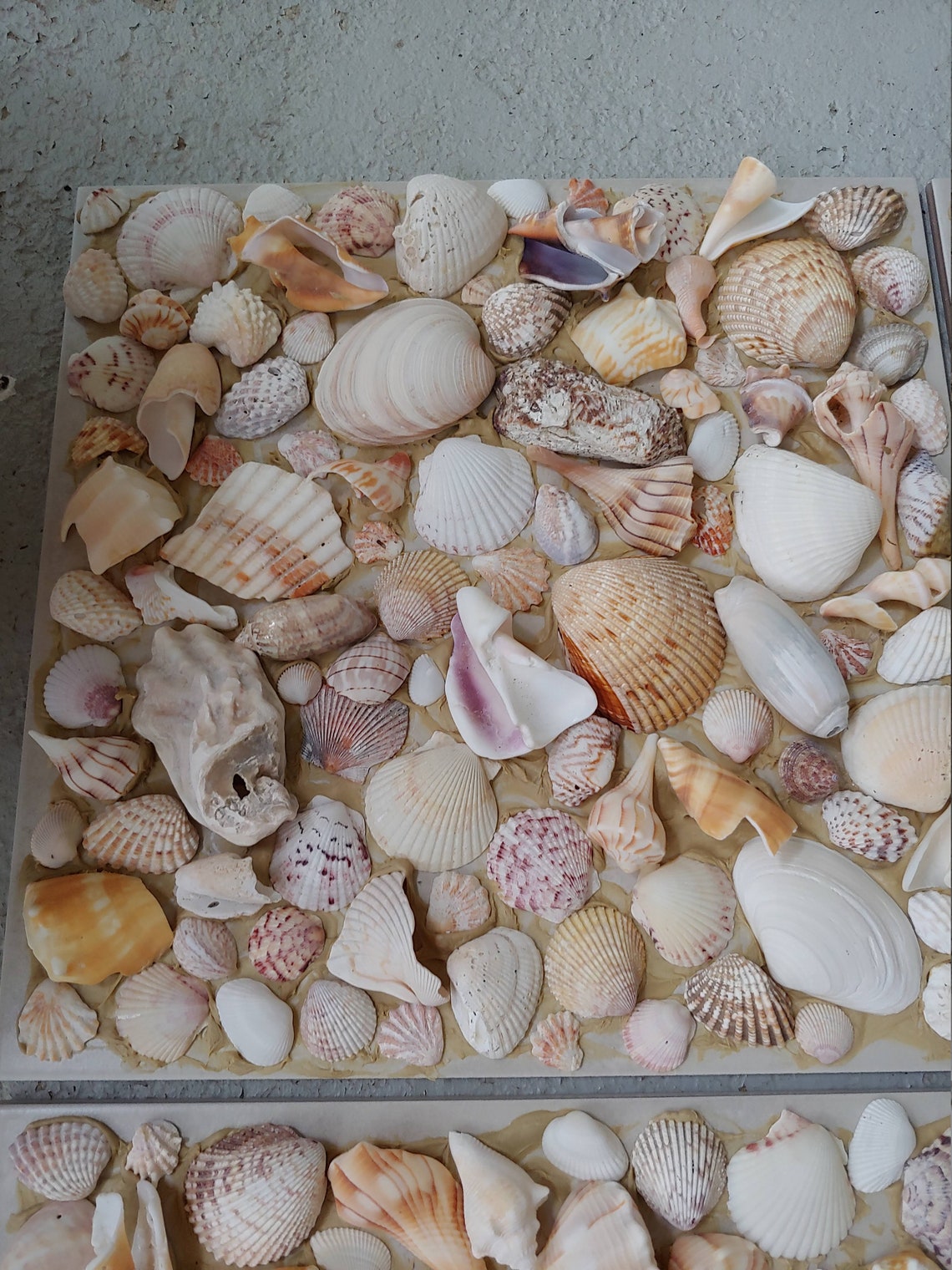 Coastal Decor Shell Tiles Fireplace Tiles Sea Shells | Etsy