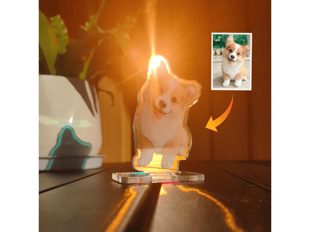 Custom Acrylic Pet Photo Standee | Personalized Pet Memorial - Etsy